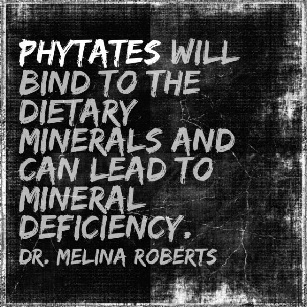 What are Phytates? - Advanced Naturopathic