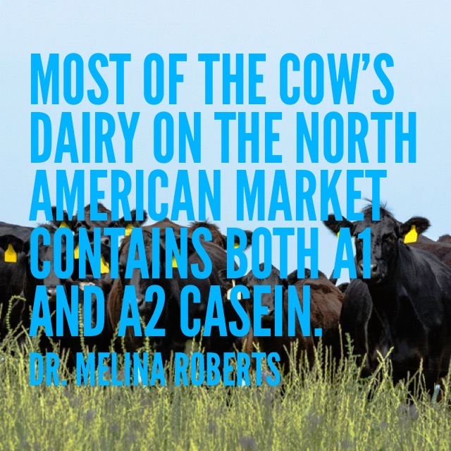 A1 vs A2 Cow's Dairy - Advanced Naturopathic