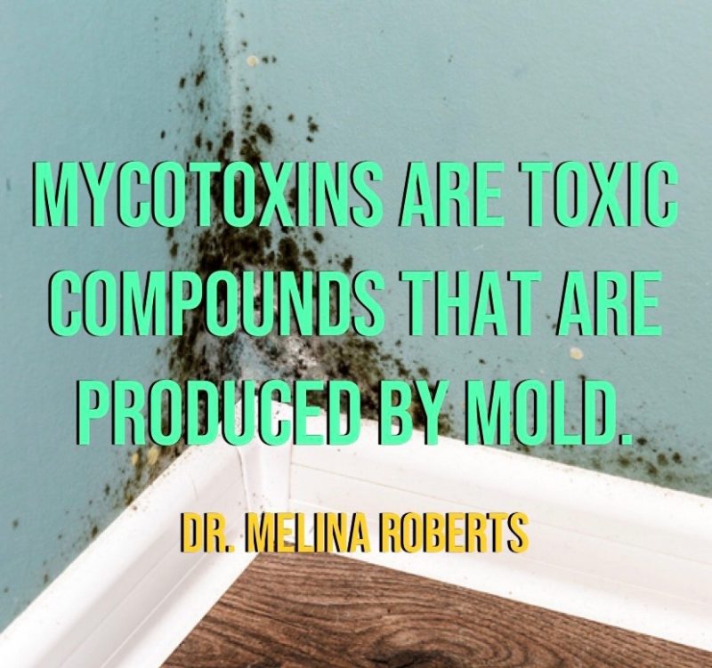 Mycotoxin Urine Testing - Advanced Naturopathic