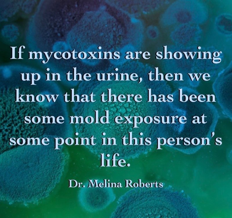 Mycotoxin Urine Testing - Advanced Naturopathic