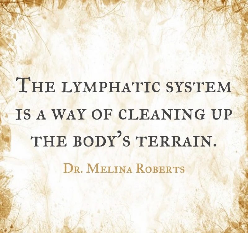 SIX Tactics to Activate the Deep Lymphatics - Advanced Naturopathic